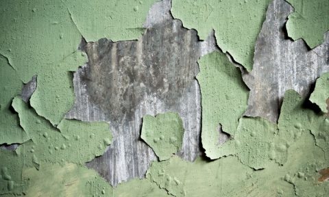 How to Fix Paint Peeling on Walls: A Comprehensive Guide - PS Painting ...